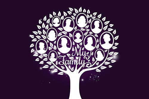 Exploring New Frontiers in Genealogy – Oasis Everywhere Store Exploring New Frontiers in Genealogy – Oasis Everywhere Store