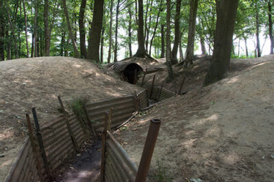 Camp Cody: A World War I Training Camp – Oasis Everywhere Store