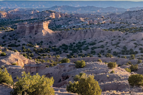 A Geologic Year in New Mexico: Evolution of Life and Land in 365 Days ...